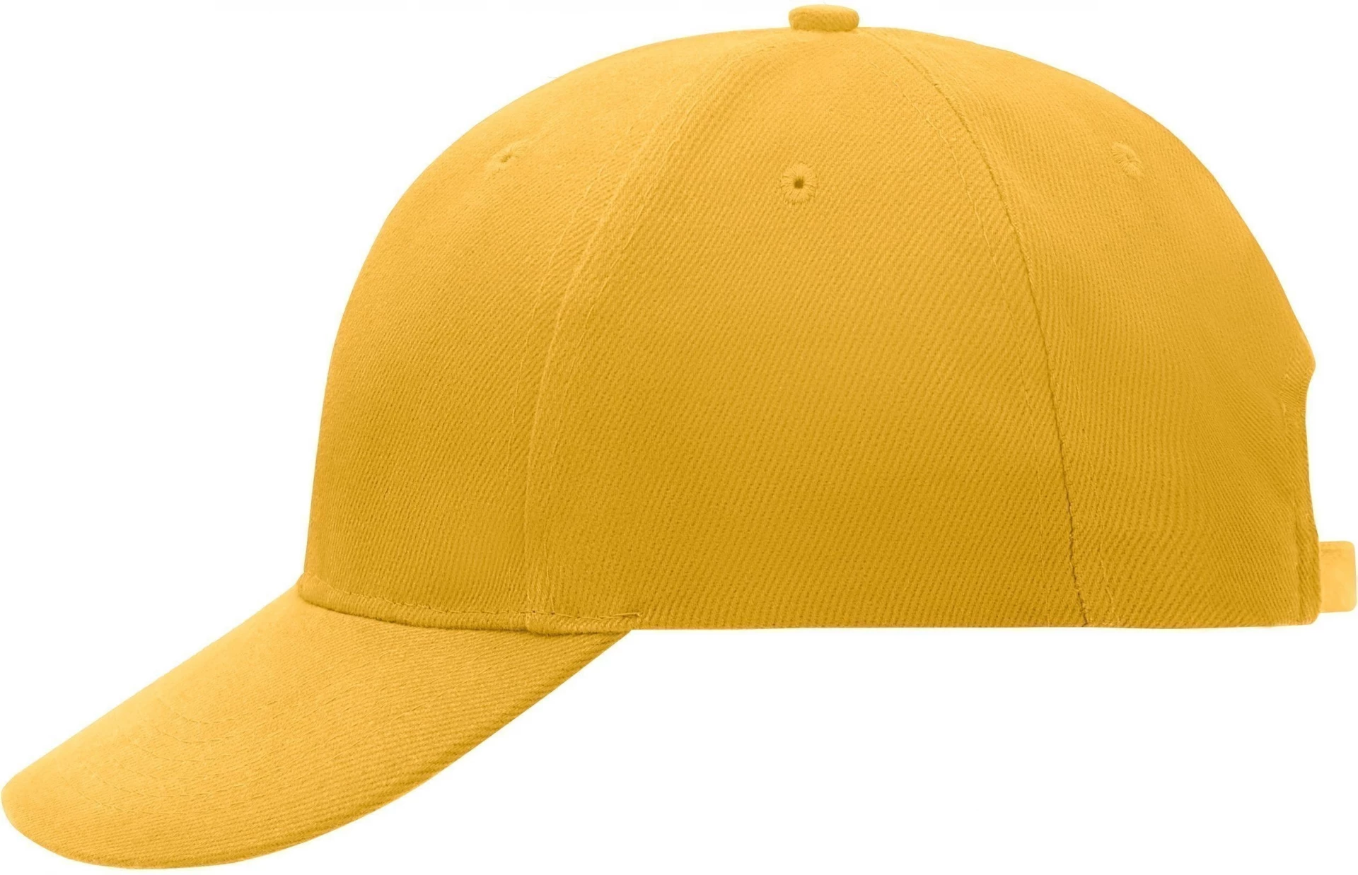 Classic cap with laminated front panels | ROI